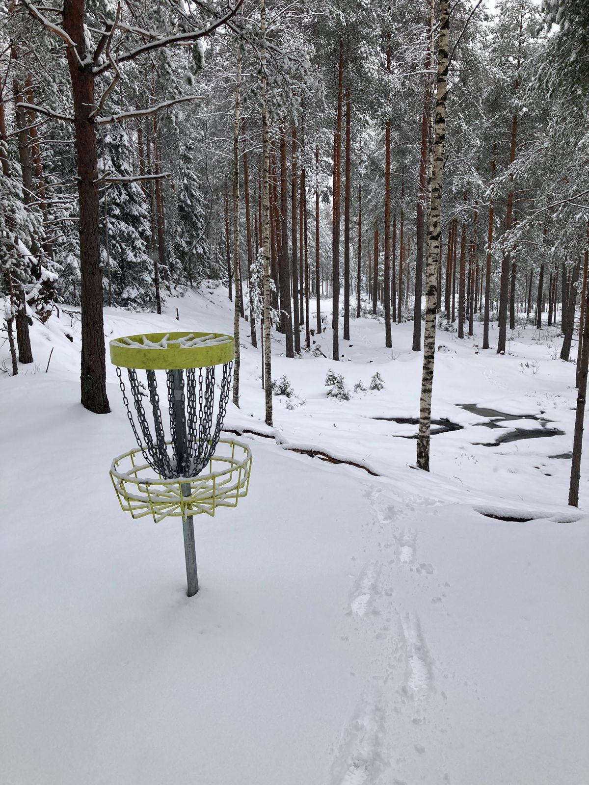 Talma DGP - Finland | UDisc Disc Golf Course Directory