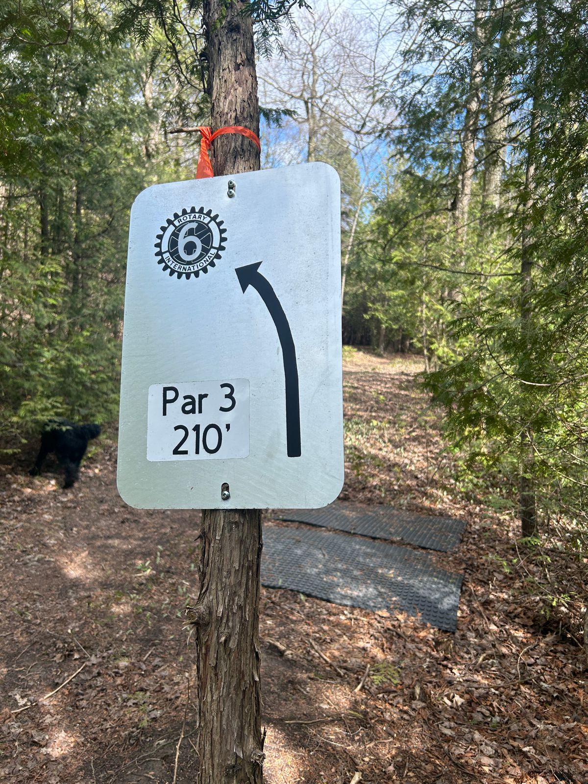 Markdale Rotary Disc Golf Course - Markdale, ON, Canada | UDisc Disc ...