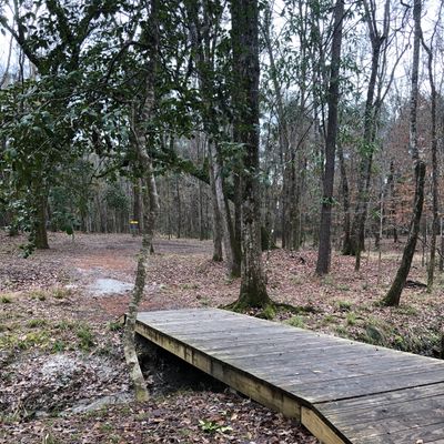 Wannamaker County Park - North Charleston, SC | UDisc Disc Golf Course ...