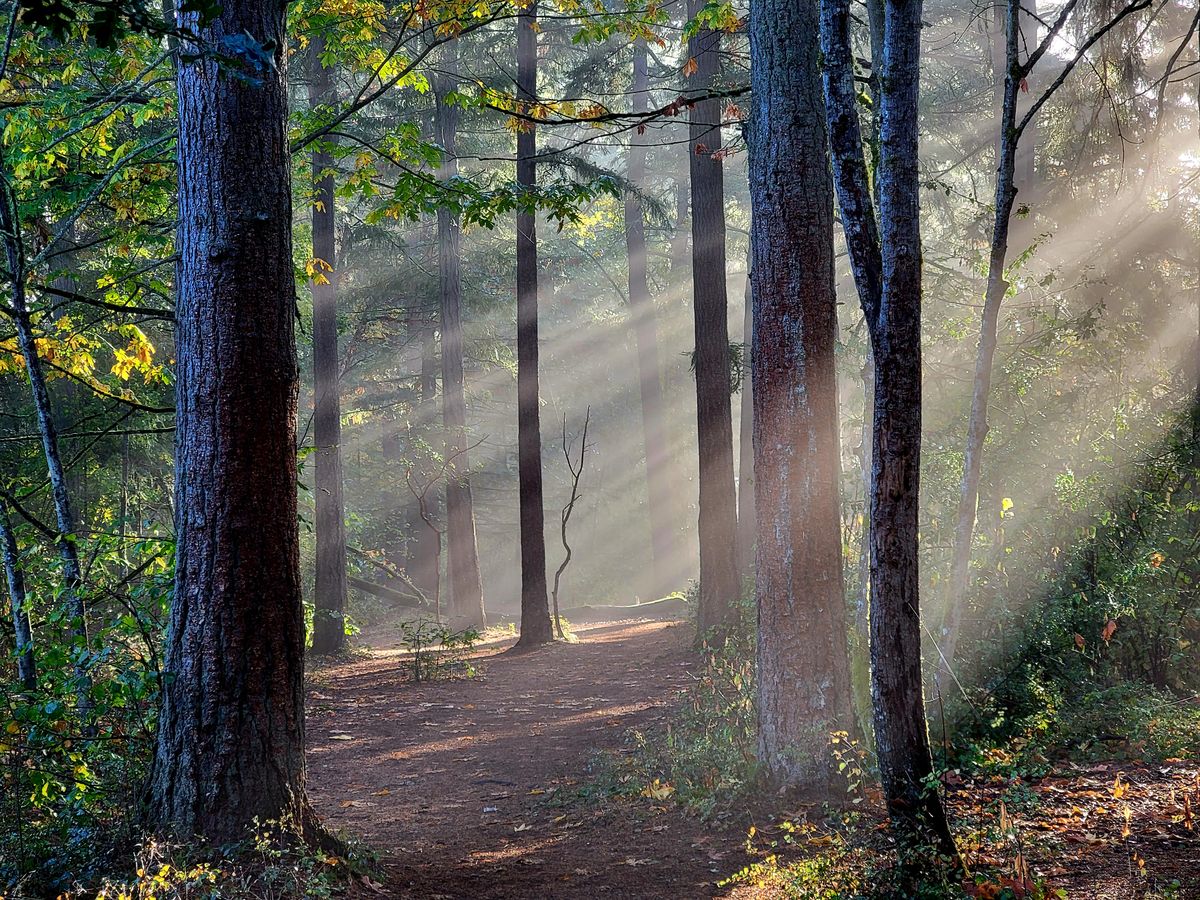 Fort Steilacoom NW - Lakewood, WA | UDisc Disc Golf Course Directory