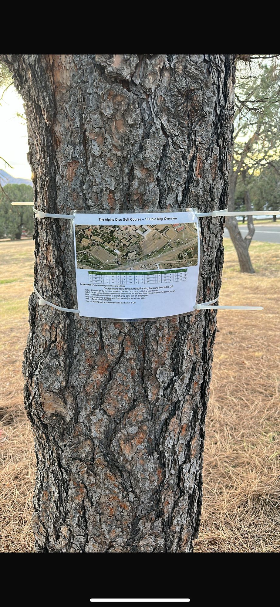 The Alpine DGC - Alpine, Texas | UDisc Disc Golf Course Directory