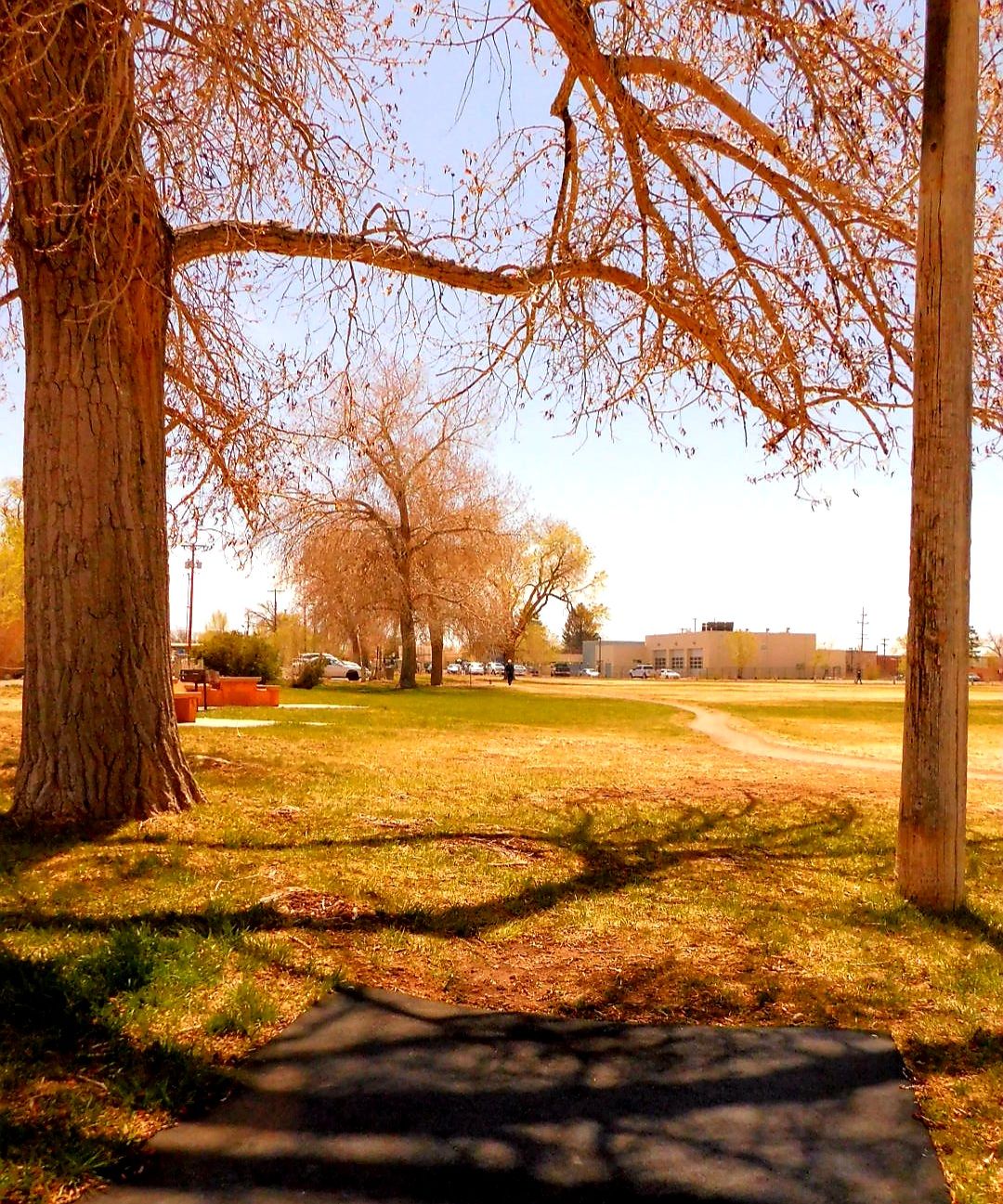 Ashbaugh Park | Course Photos