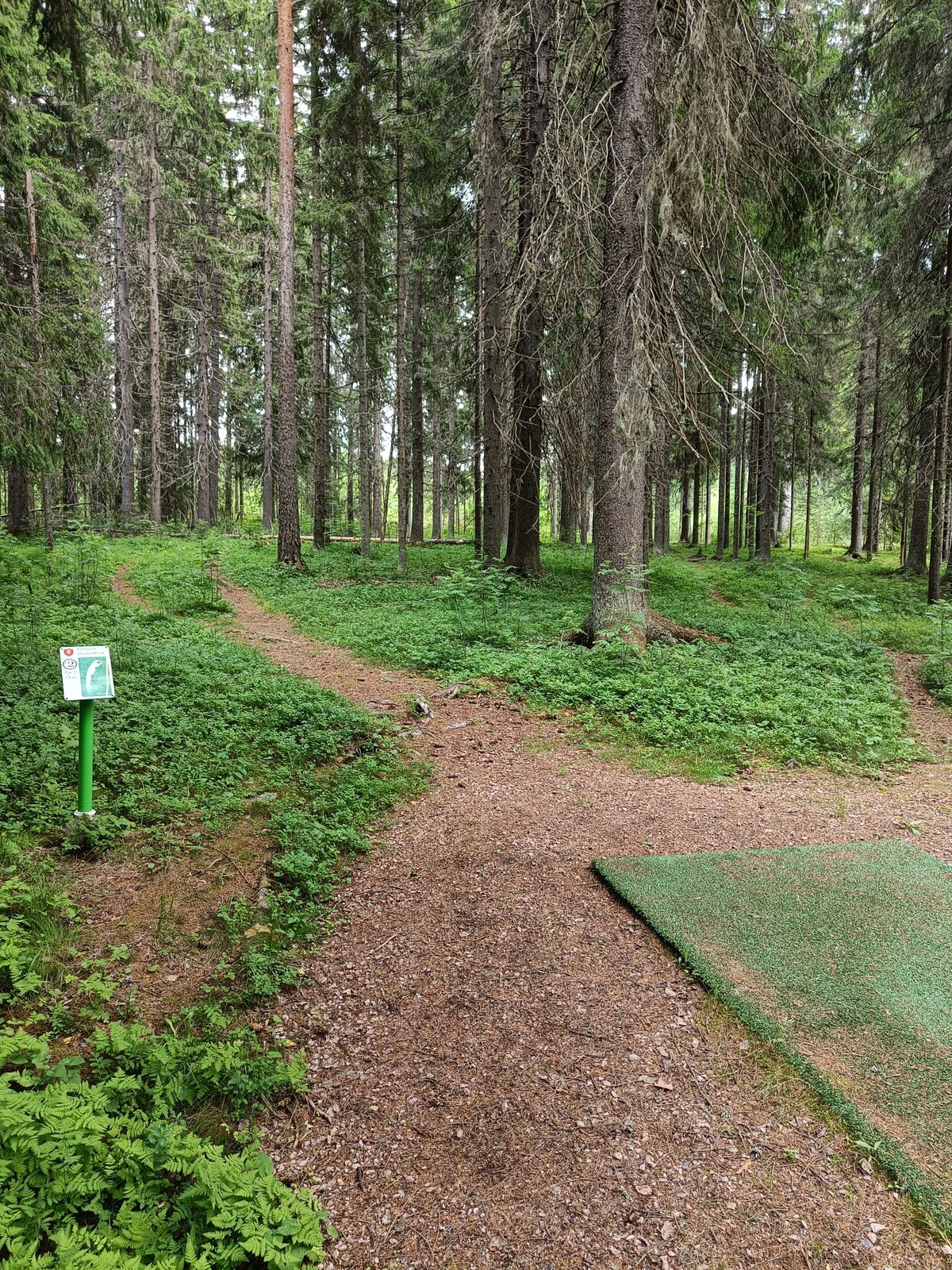 Pielavesi DiscGolfPark - Finland | UDisc Disc Golf Course Directory