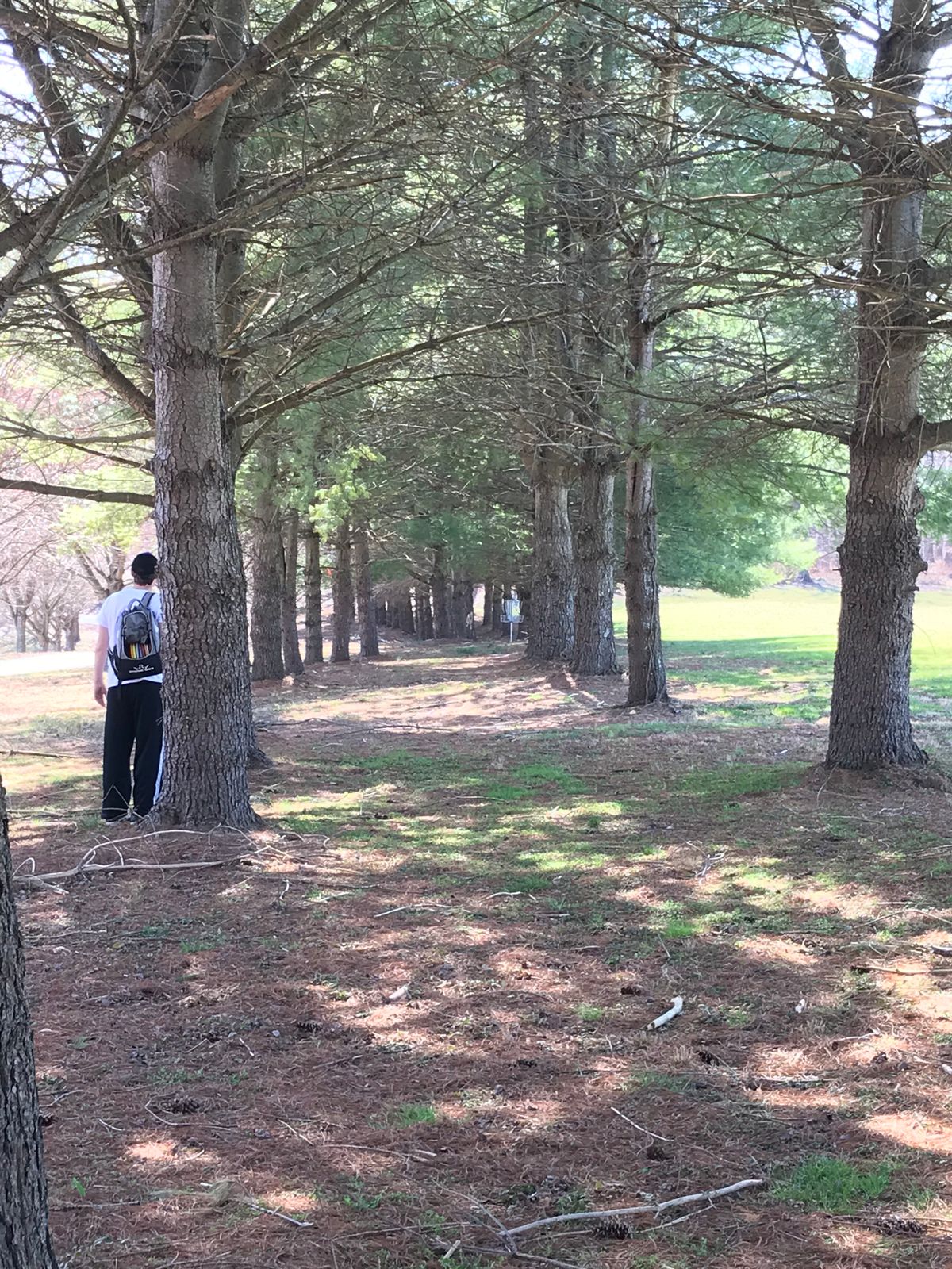 Baldwin Disc Golf - Your Guide to Disc Golf in Baldwin, Maryland | UDisc