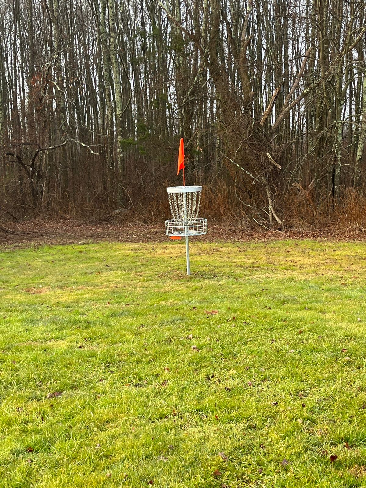 Andrew Mountain Park - Naugatuck, Connecticut | UDisc Disc Golf Course ...