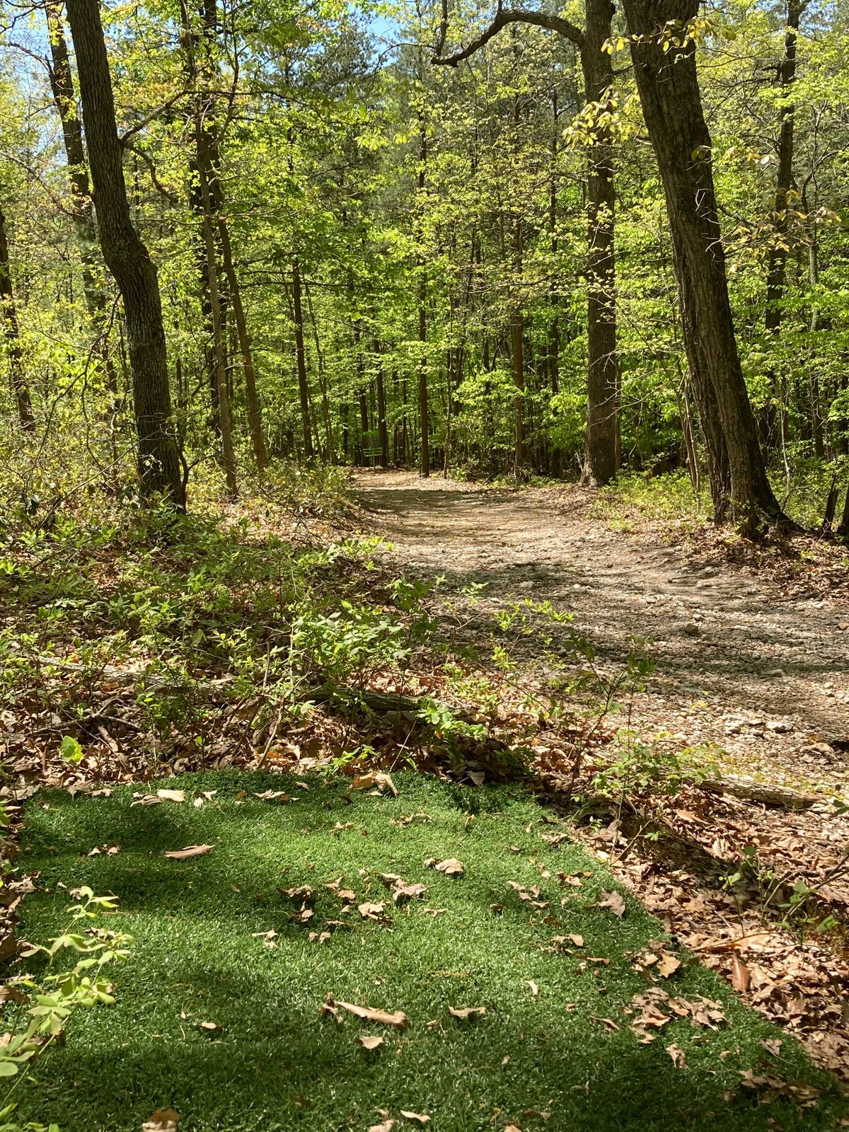 Liberty Tiki Course at Hydaway - Rustburg, Virginia | UDisc Disc Golf ...