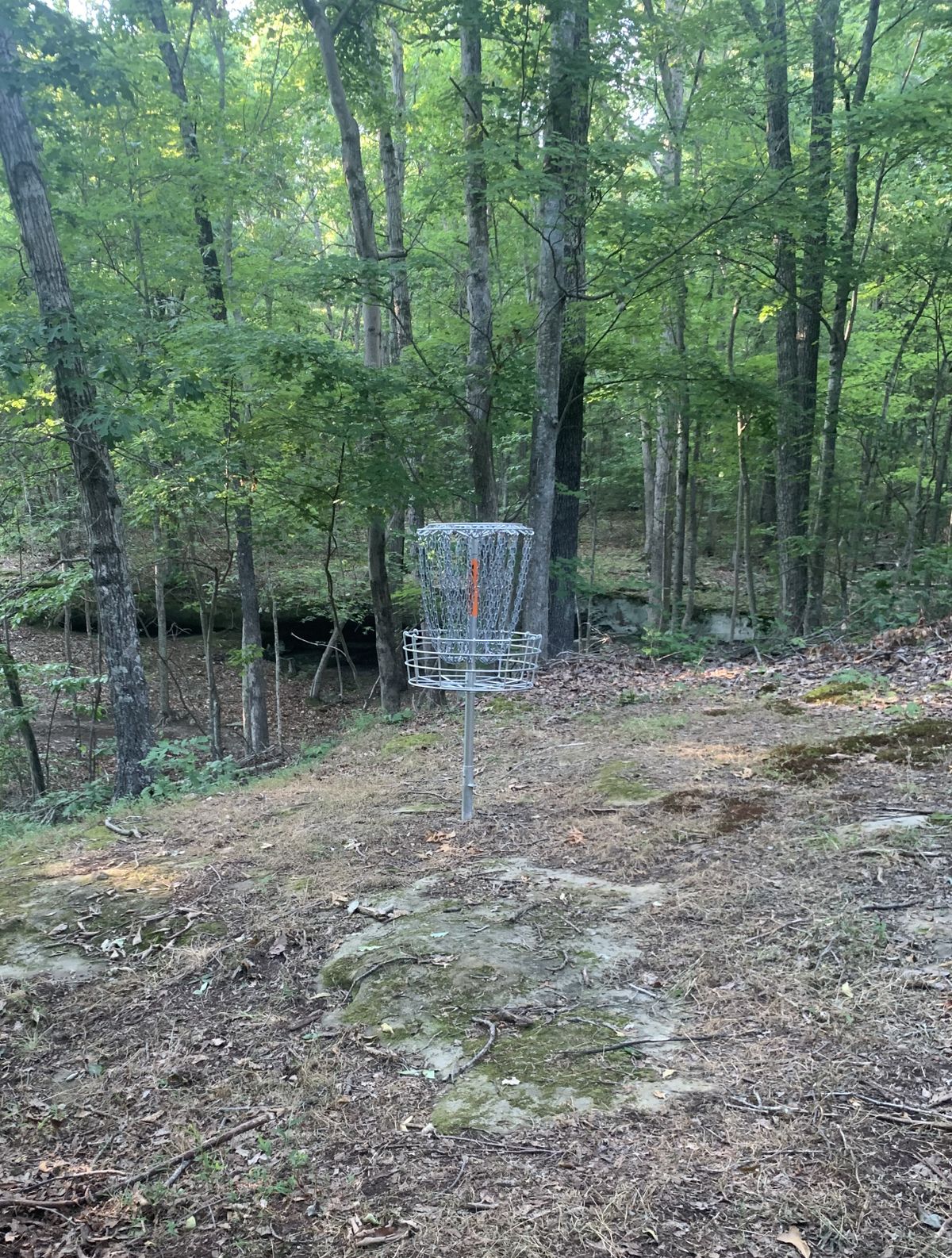 Mammoth Cave Disc Golf - Your Guide to Disc Golf in Mammoth Cave ...