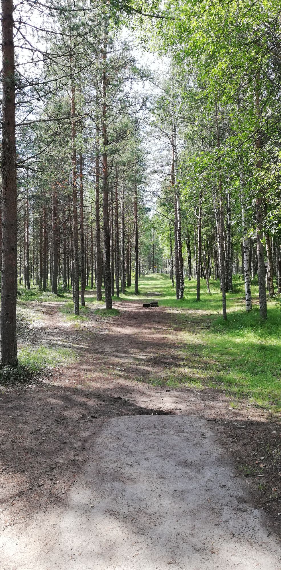 Serpent Hill - Luleå, Sweden | UDisc Disc Golf Course Directory