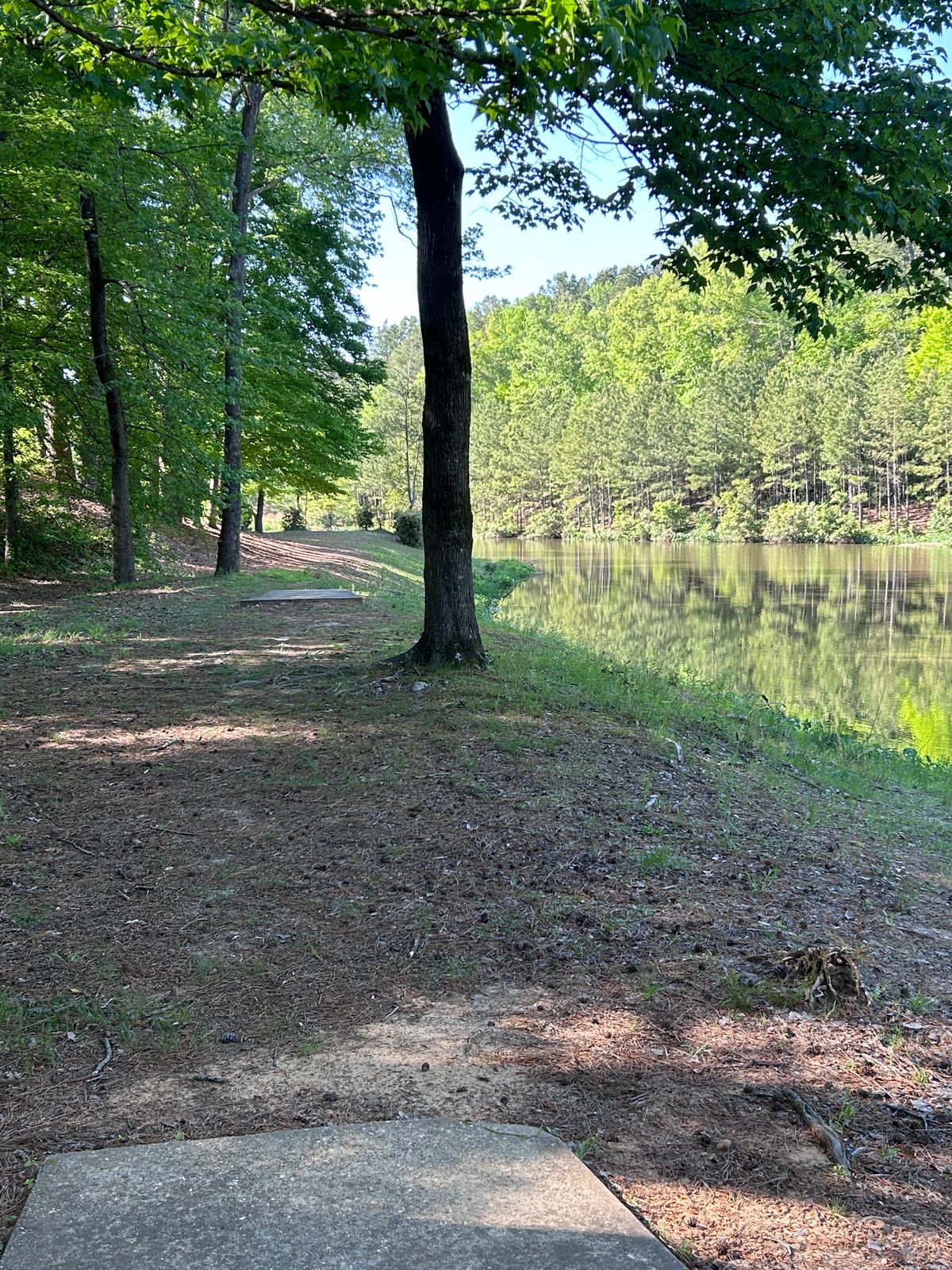 Hideaway Park - Ruston, Louisiana | UDisc Disc Golf Course Directory