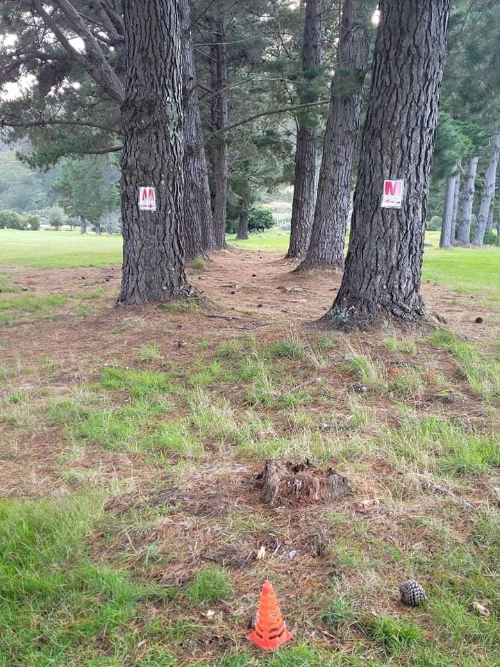 Trentham Golf Course - Upper Hutt, New Zealand | UDisc Disc Golf Course ...