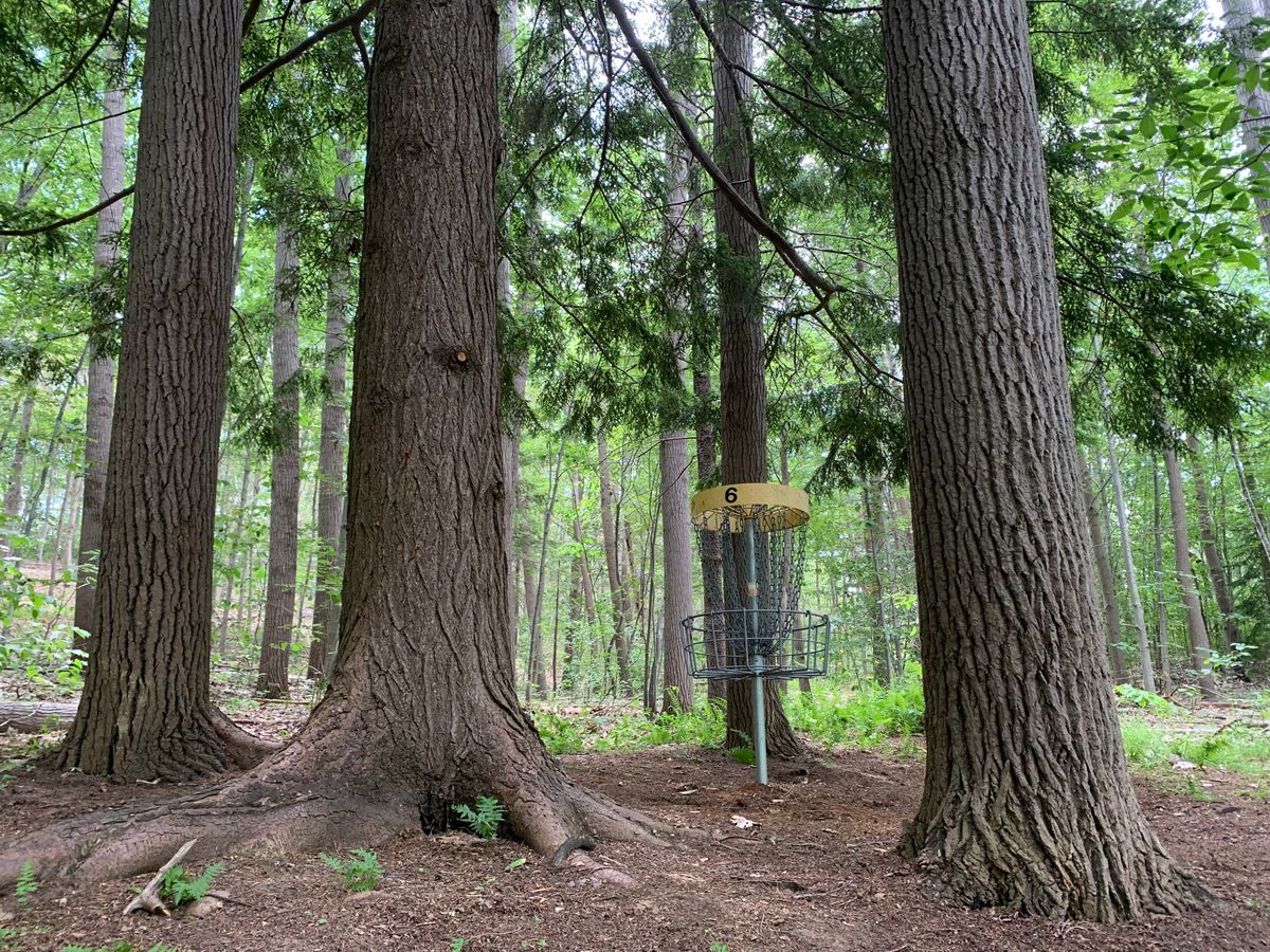 Puntarenas Disc Golf - Your Guide to Disc Golf in Puntarenas, Costa ...