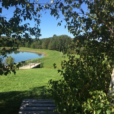 Fox Run Meadows - Cambridge, VT | UDisc Disc Golf Course Directory