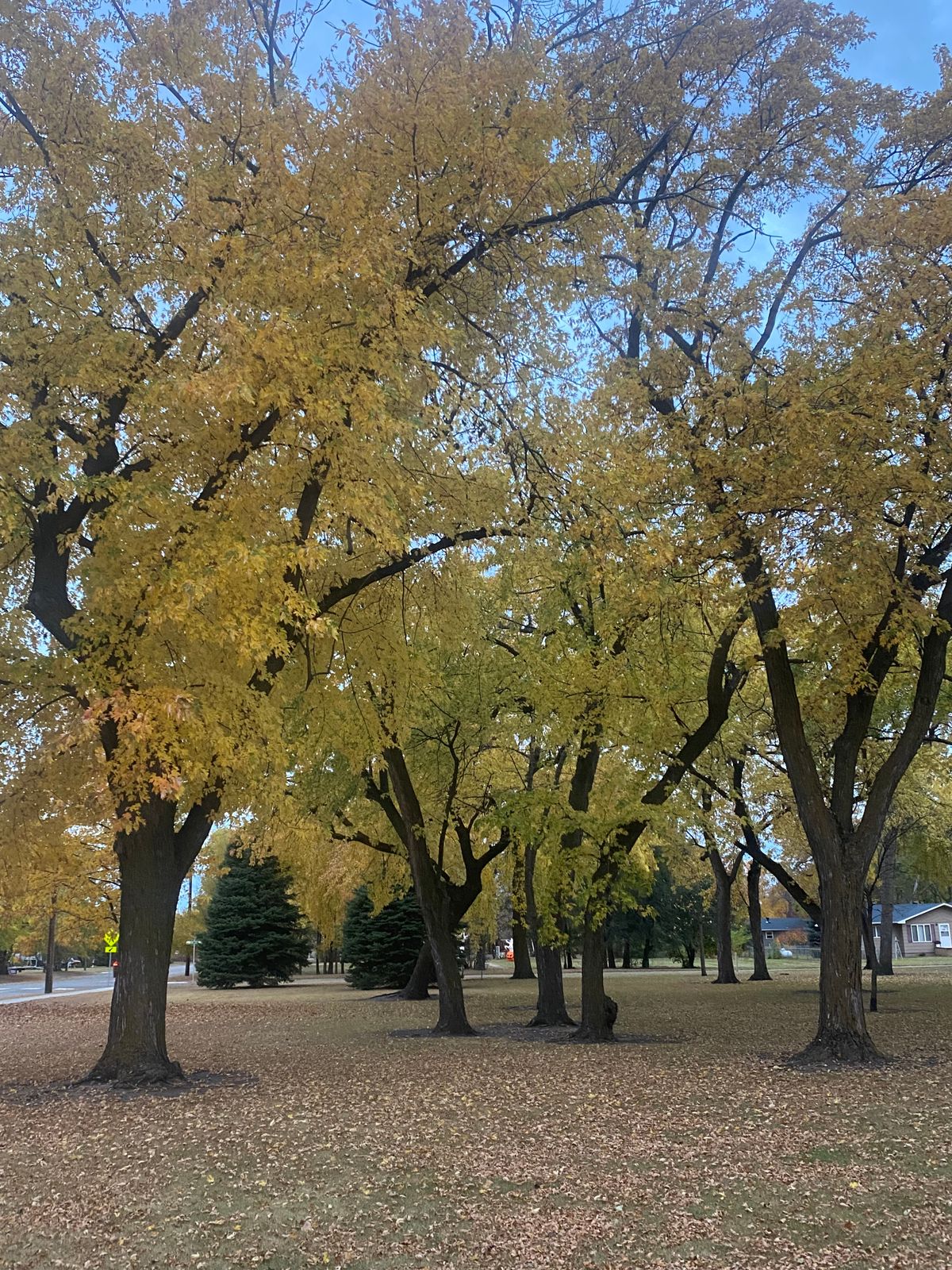 McGrath Park - Barnesville, MN | UDisc Disc Golf Course Directory