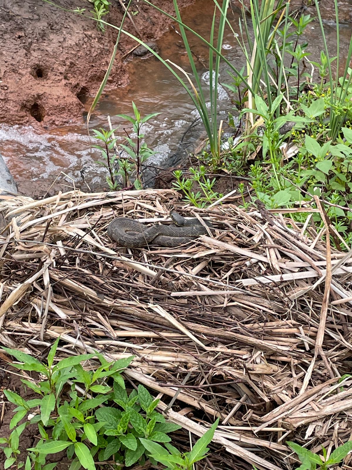 Ruby Grant Park Disc Golf Course - Norman, Oklahoma | UDisc Disc Golf ...