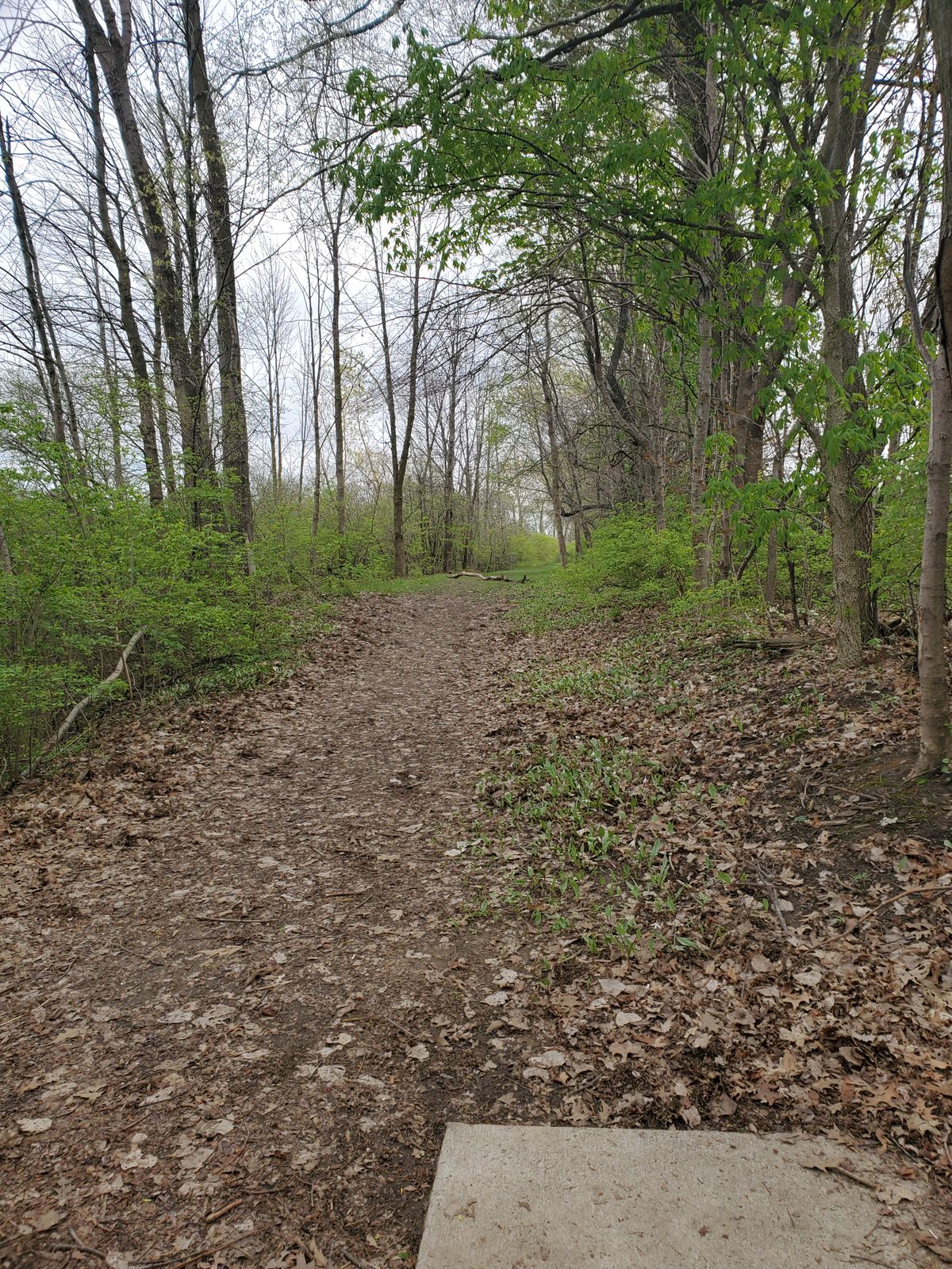 Walsh Park - Fremont, Ohio | UDisc Disc Golf Course Directory