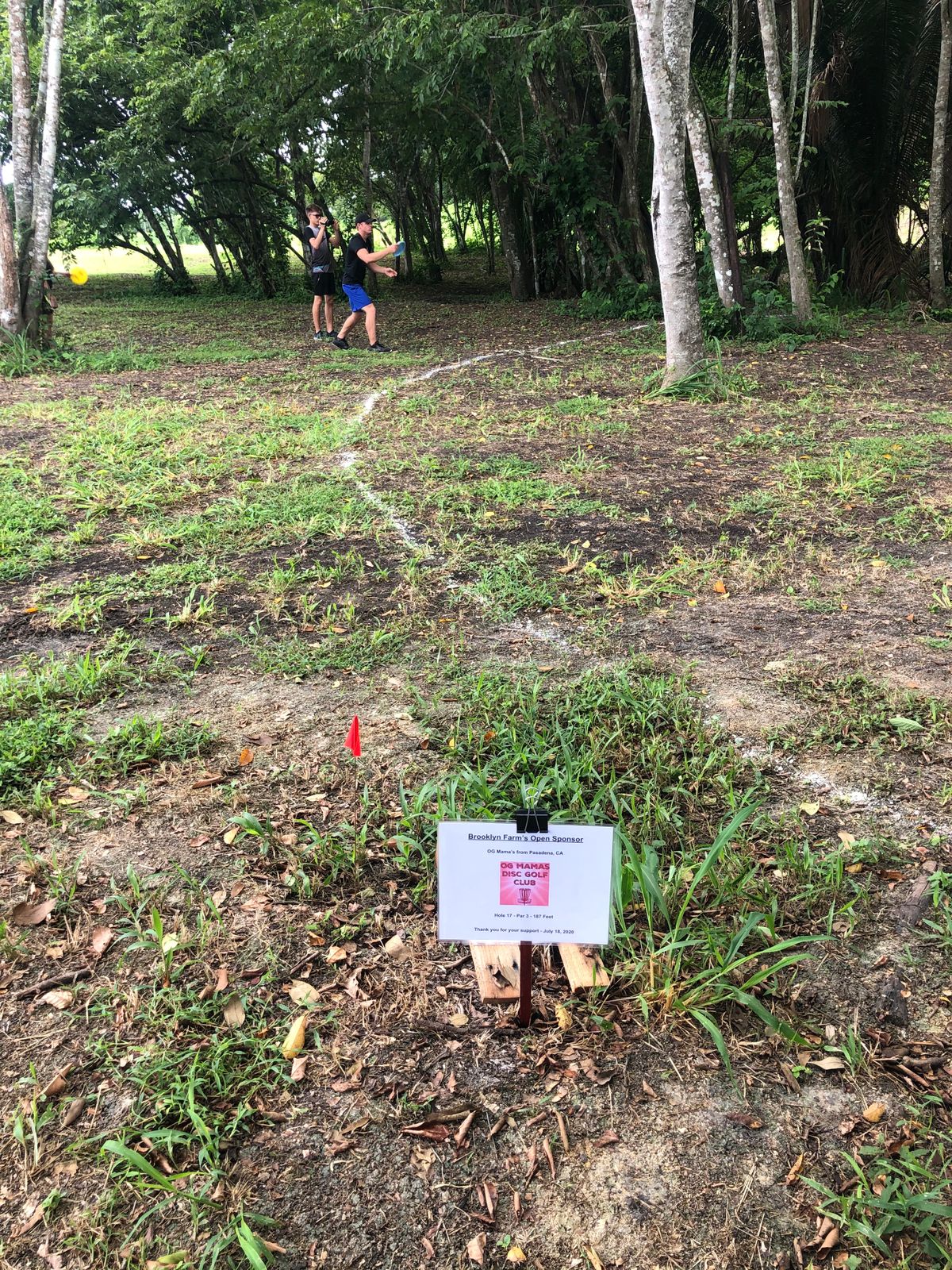 Target + Disc Golf - Spanish Lookout, Belize | UDisc Disc Golf Course ...
