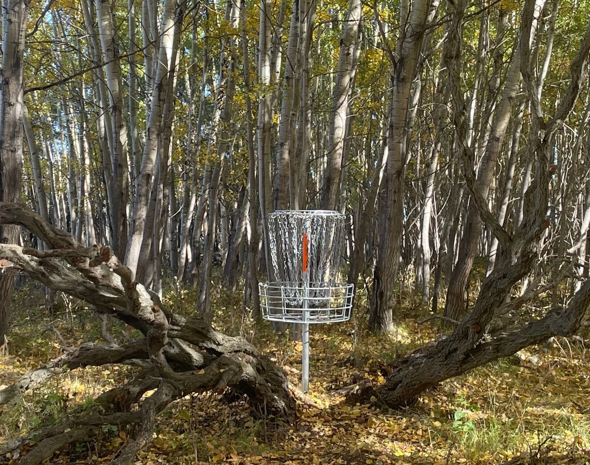 Four Sisters Disc Golf Course - Strathmore, AB, Canada | UDisc Disc ...