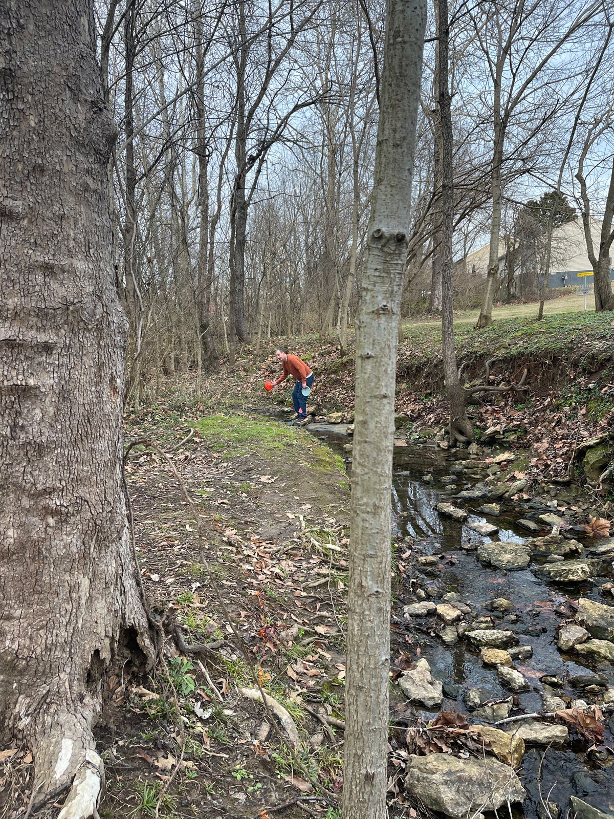 Bullitt County Disc Golf Course - Louisville, KY | UDisc Disc Golf ...
