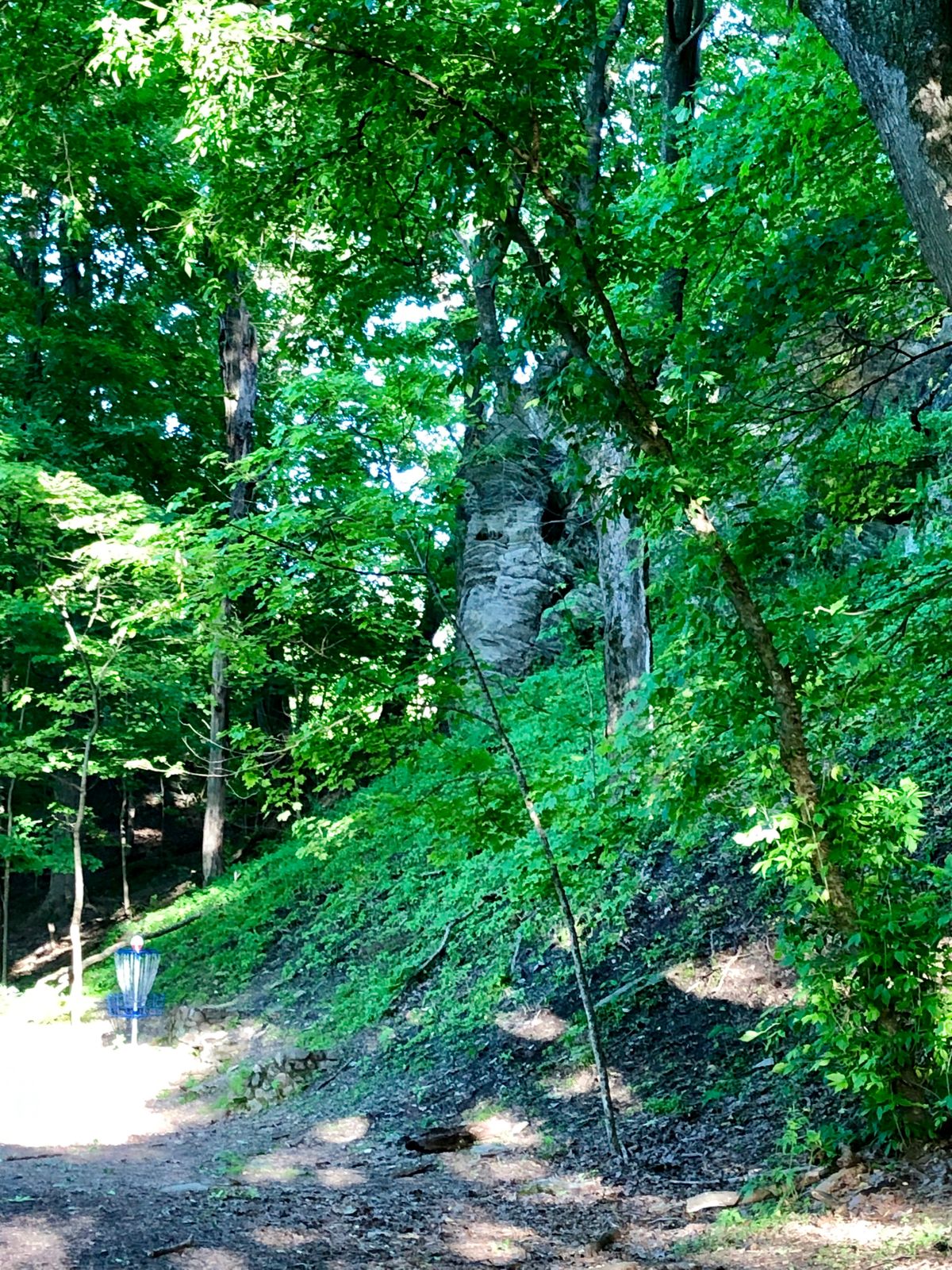 Covered Bridge Park - Allentown, PA | UDisc Disc Golf Course Directory ...