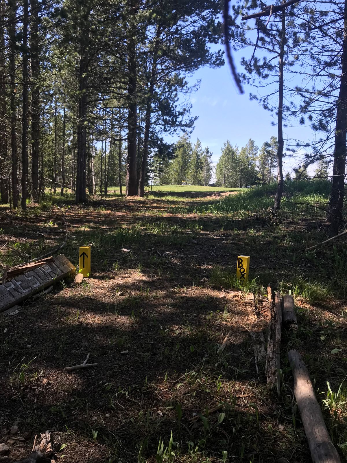 Derby’s Disc Golf @ Timbers Island Park - Island Park, Idaho | UDisc ...