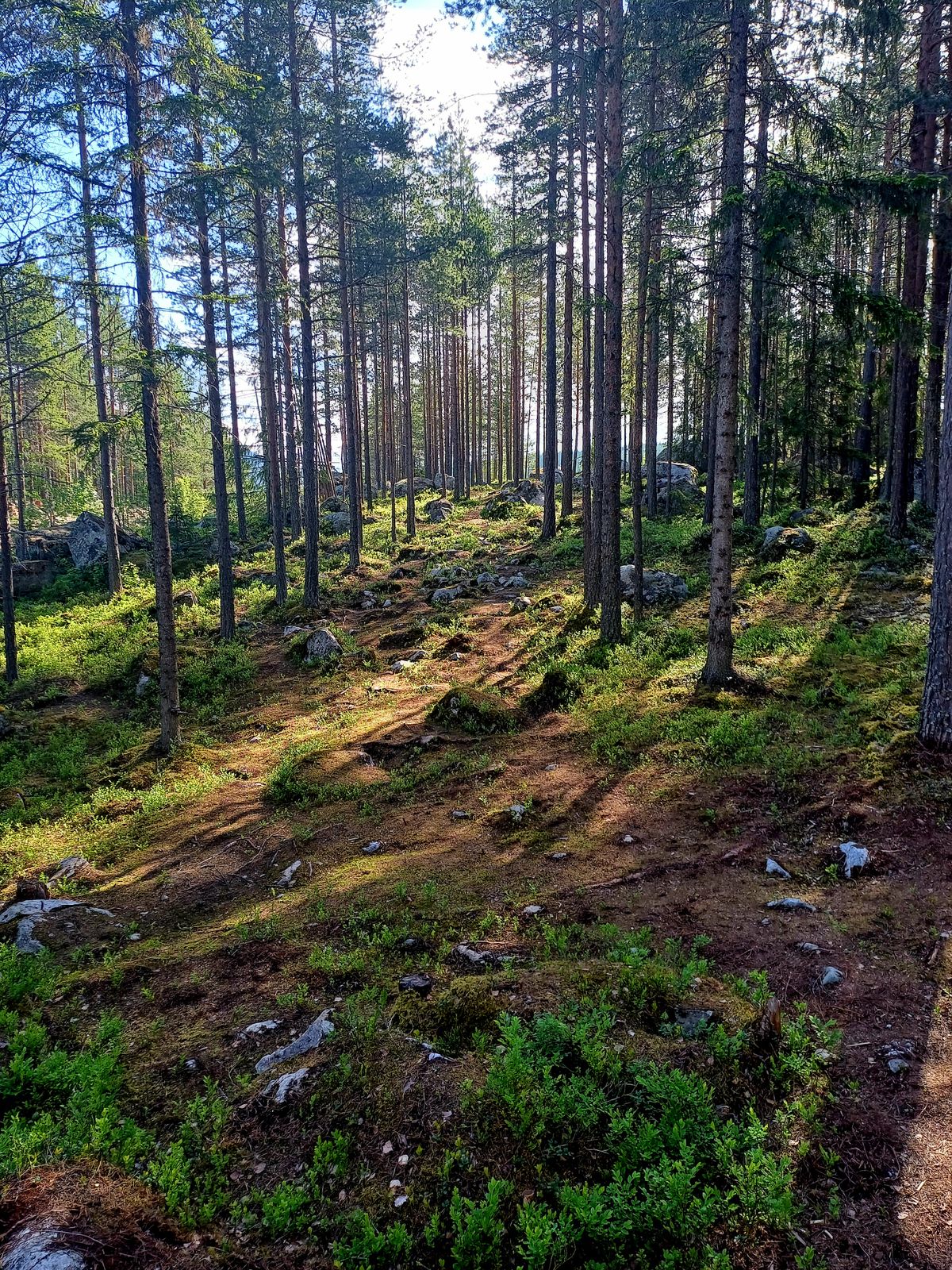 Hallingkast Frisbeegolfpark - Ål, Norway | UDisc Disc Golf Course Directory