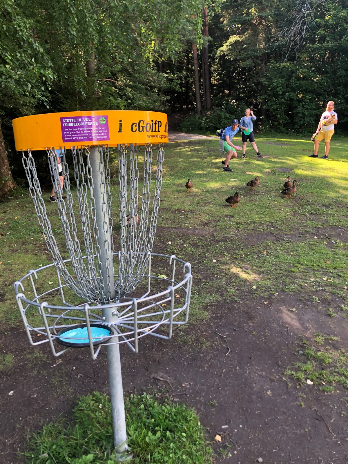 Vollen Frisbeegolf - Vollen, Norway | UDisc Disc Golf Course Directory