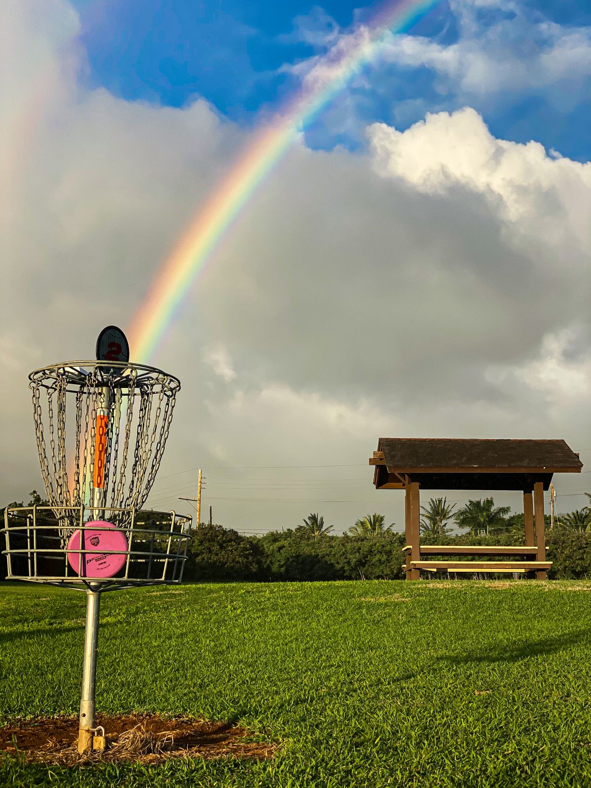 Weli Weli Disc Golf Park - Koloa, Hawaii | UDisc Disc Golf Course Directory