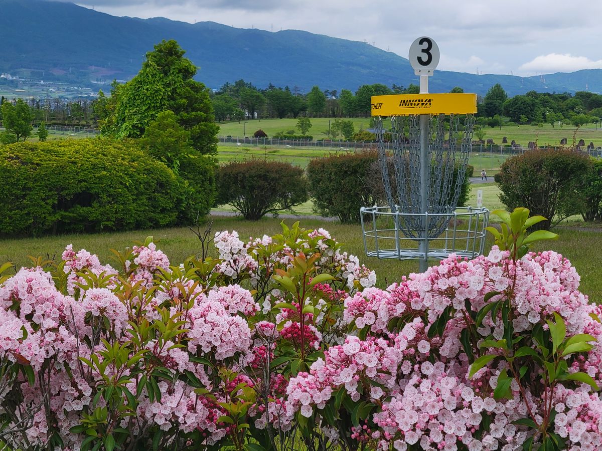 Shiojiri Disc Golf - Your Guide to Disc Golf in Shiojiri, Japan | UDisc