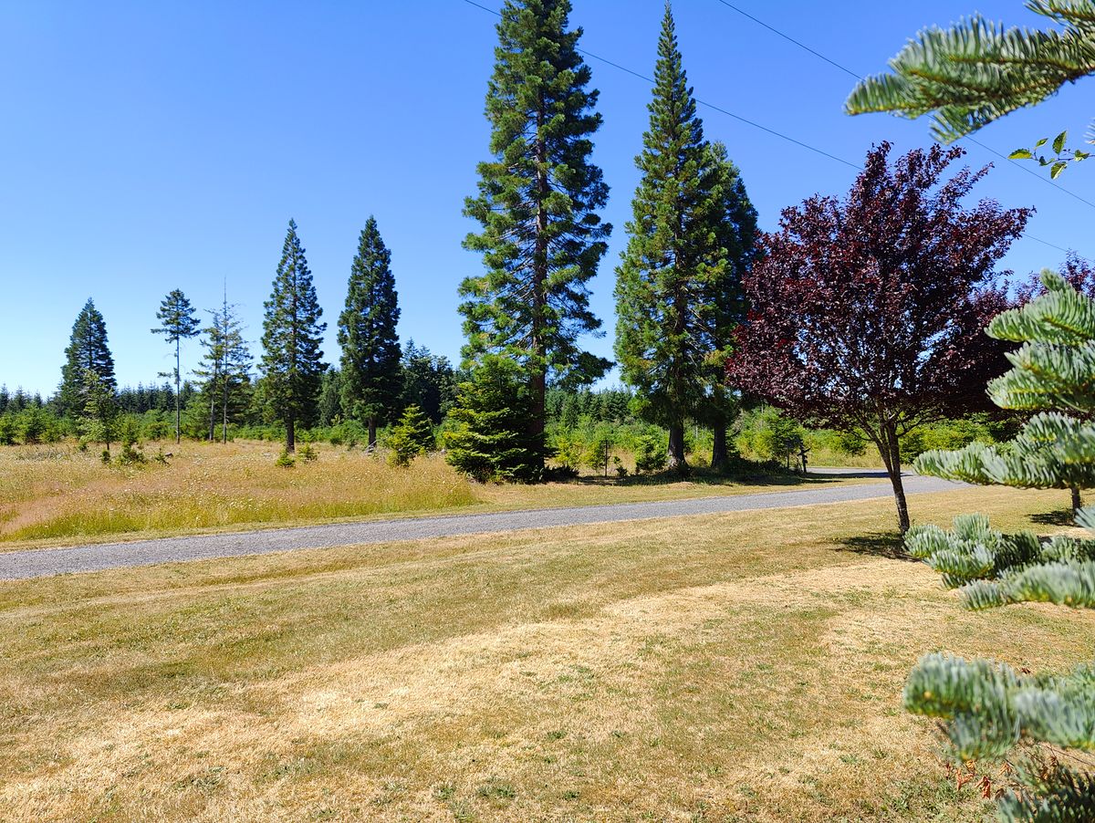 Mysto's Meadows - Chehalis, Washington | UDisc Disc Golf Course Directory