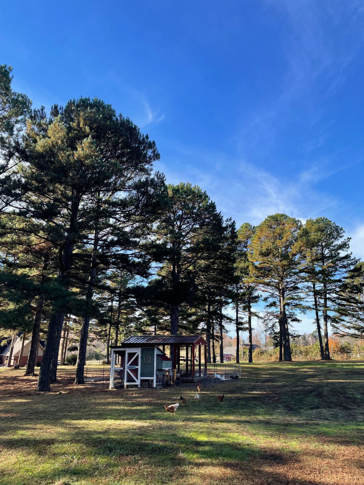 Jaggerbush Hollow - Clarksville, Arkansas | UDisc Disc Golf Course ...
