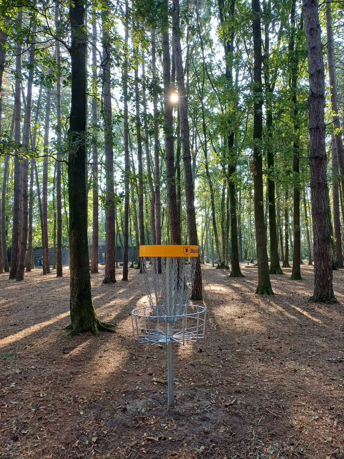 Aalst Disc Golf - Your Guide to Disc Golf in Aalst, Belgium | UDisc