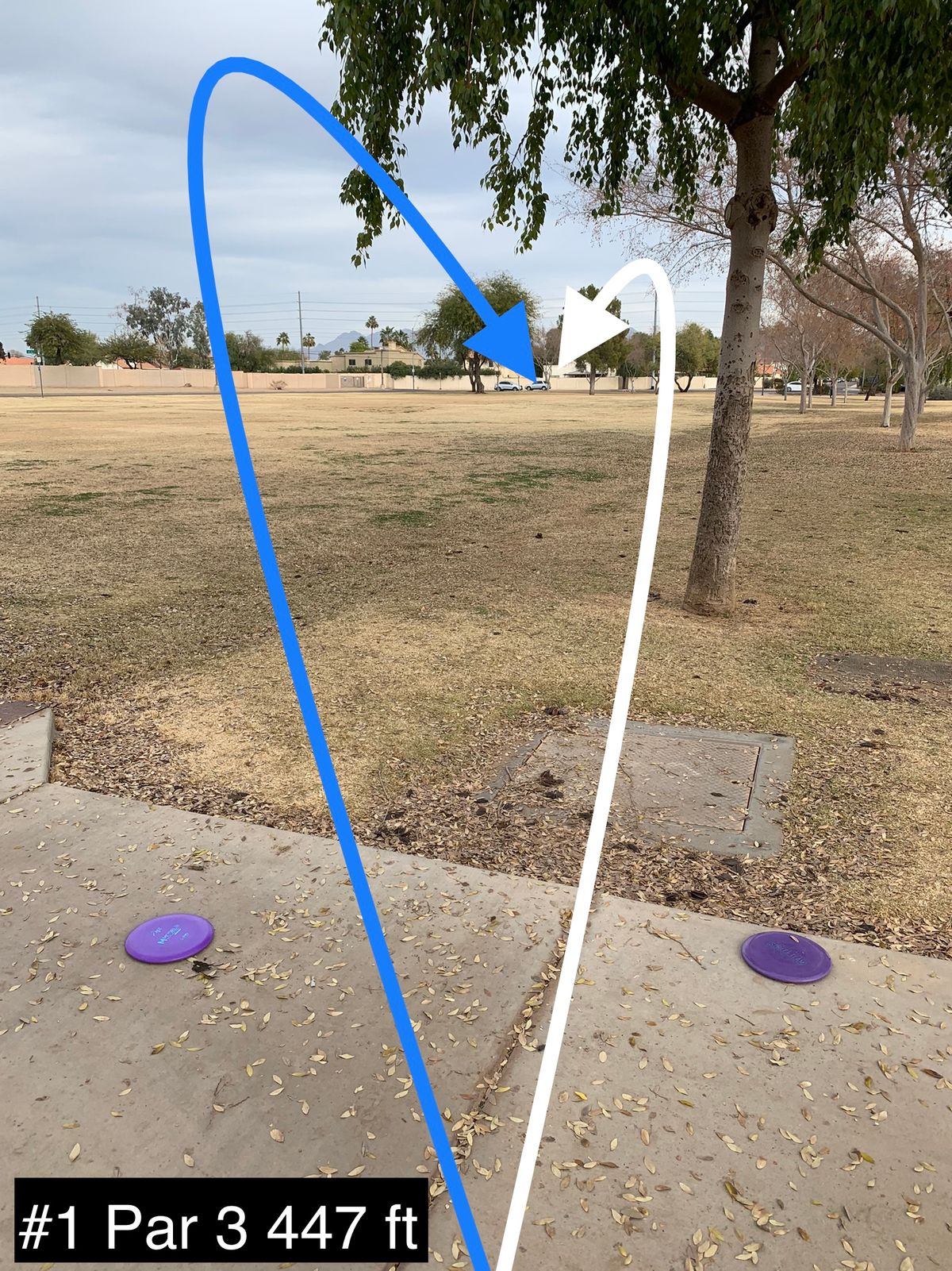 Desert Horizon Target Course - Scottsdale, AZ | UDisc Disc Golf Course ...