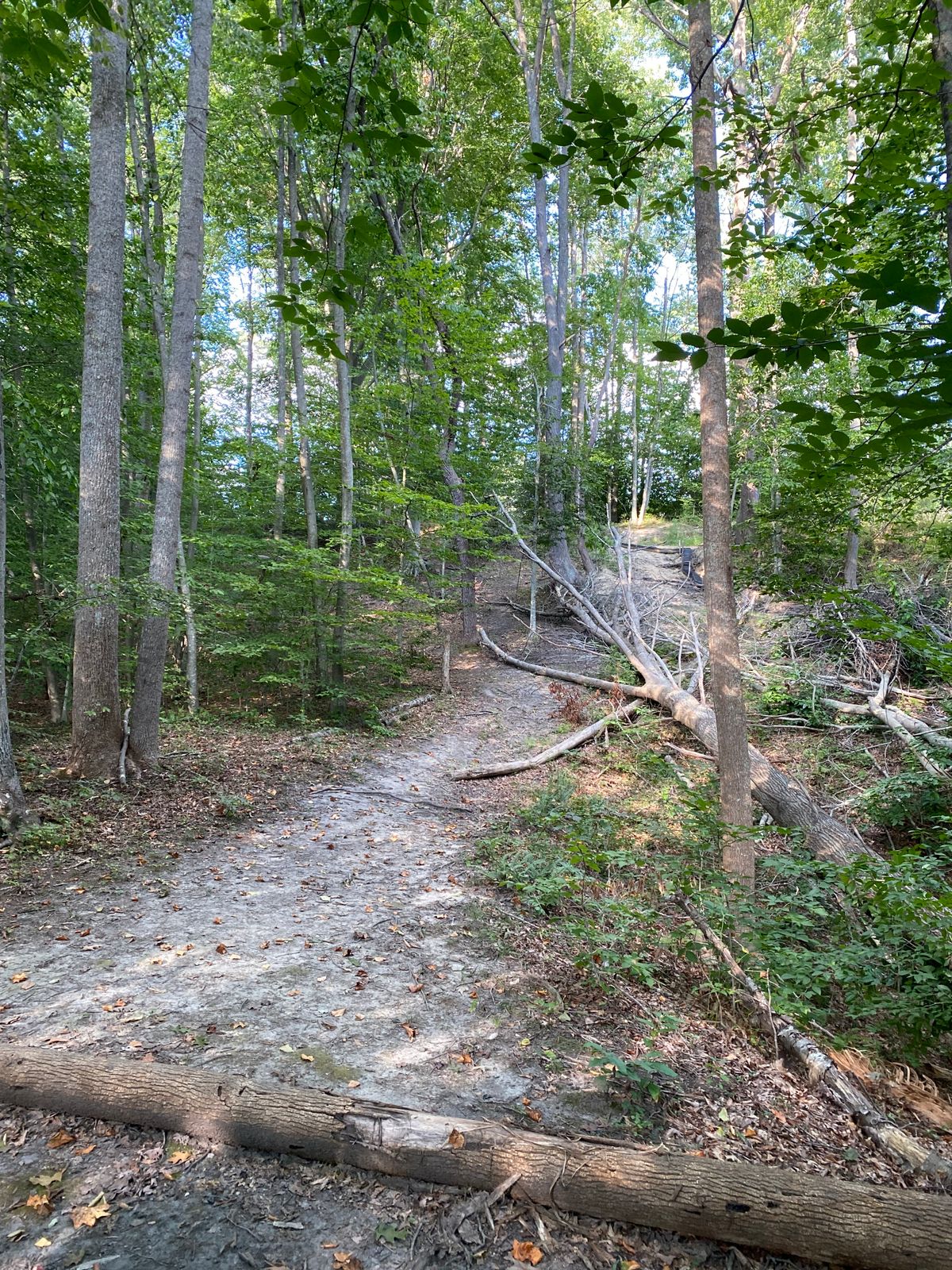Collins Park Disc Golf Course - Oak Hill, West Virginia | UDisc Disc ...