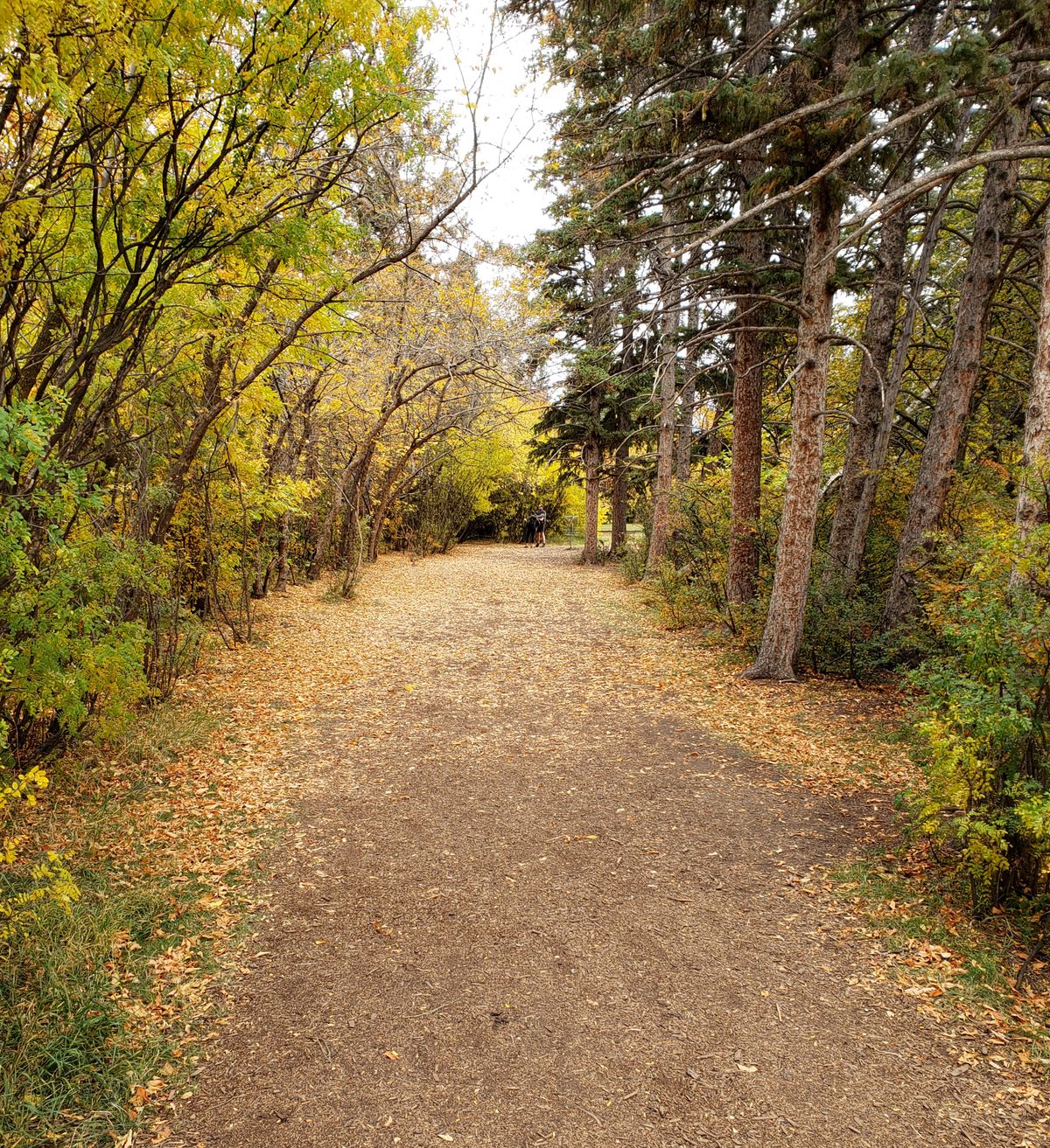 Baker Park - Calgary, AB, Canada | UDisc Disc Golf Course Directory