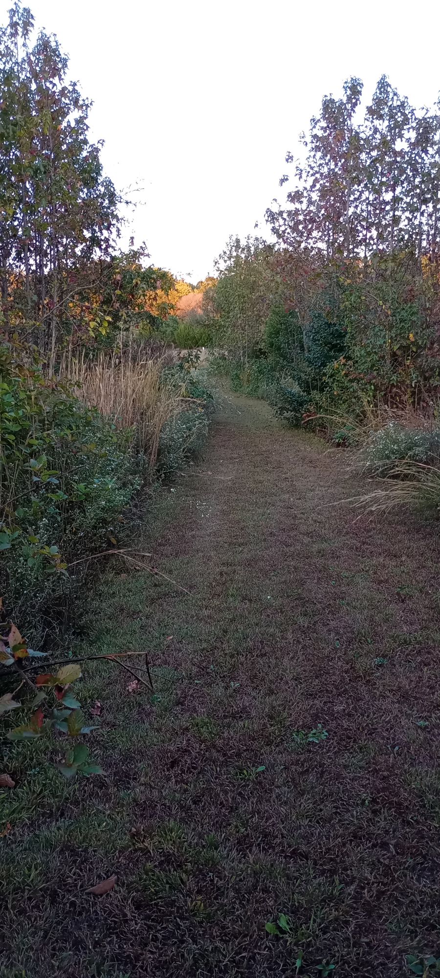 Mary Del - Marydel, MD | UDisc Disc Golf Course Directory