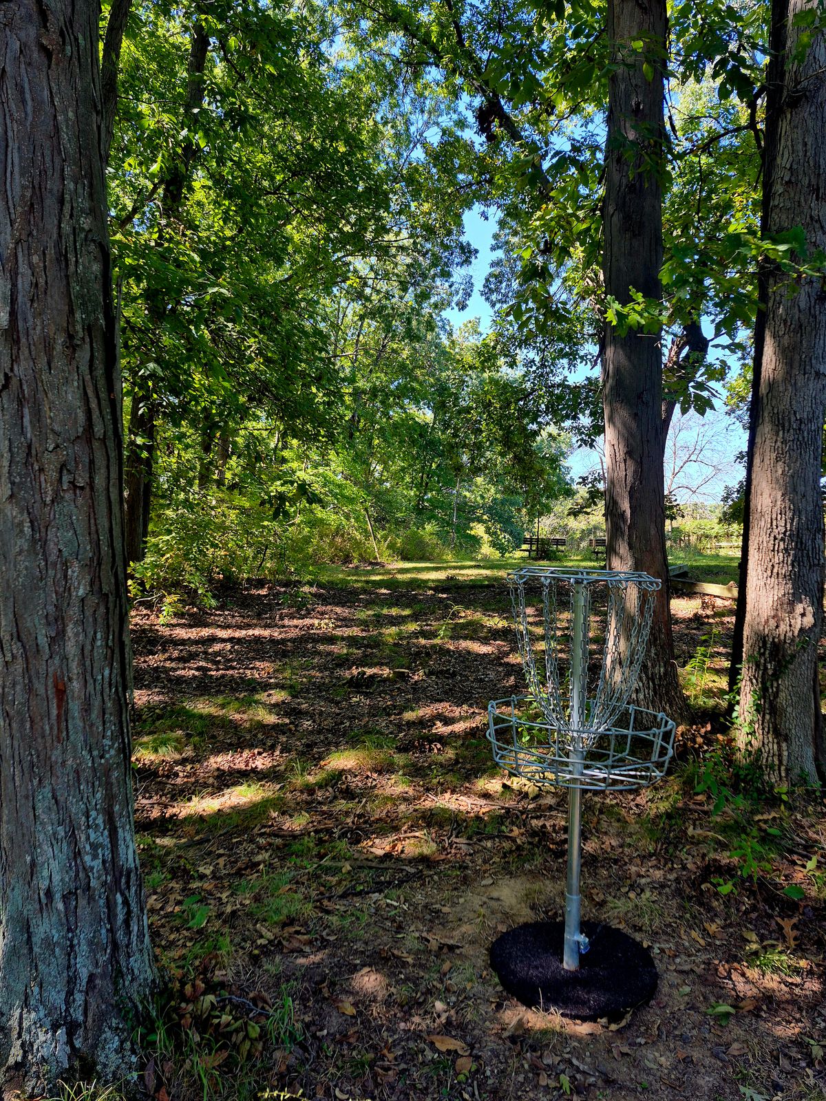 John Warner Memorial at Russell Blvd - Columbia, Missouri | UDisc Disc ...