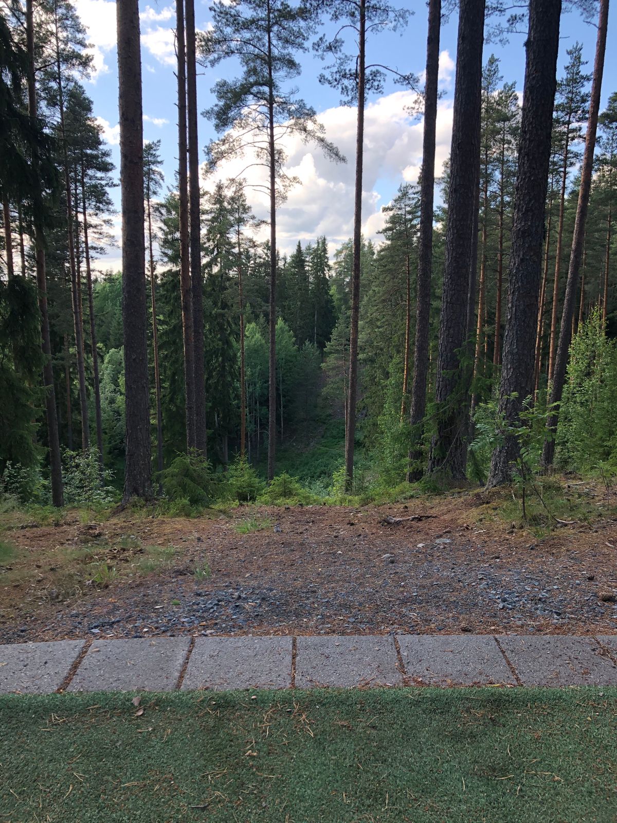 Hunnari DiscGolfPark - Finland | UDisc Disc Golf Course Directory