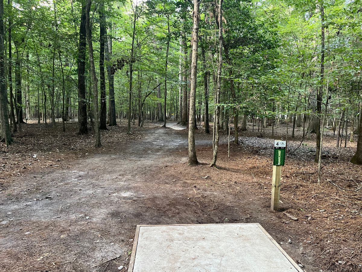 Pine Trace Park Disc Golf Course - Summerville, South Carolina | UDisc ...