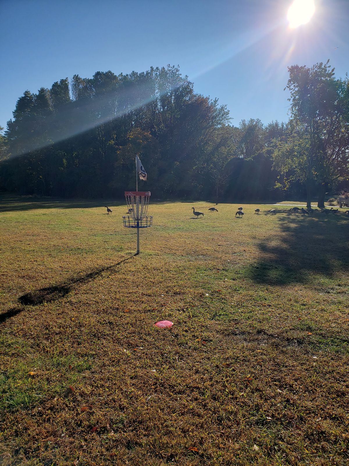 Joe Palaia Park - Oakhurst, New Jersey | UDisc Disc Golf Course Directory