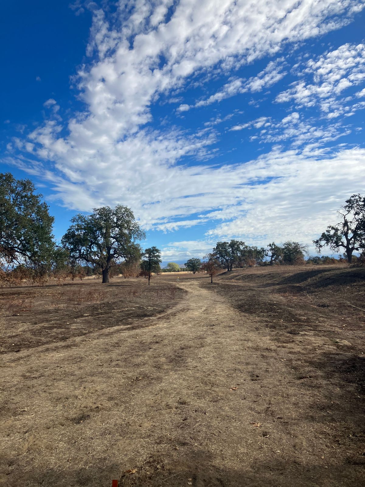 Diversion Dam @ Red Bluff Rec Area - Red Bluff, California | UDisc Disc ...