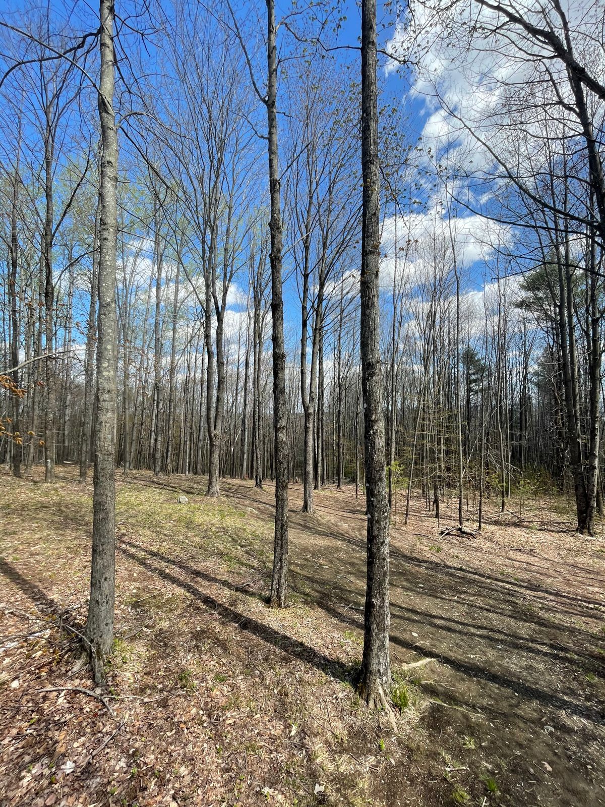 Troll Valley - Farmington, Maine | UDisc Disc Golf Course Directory