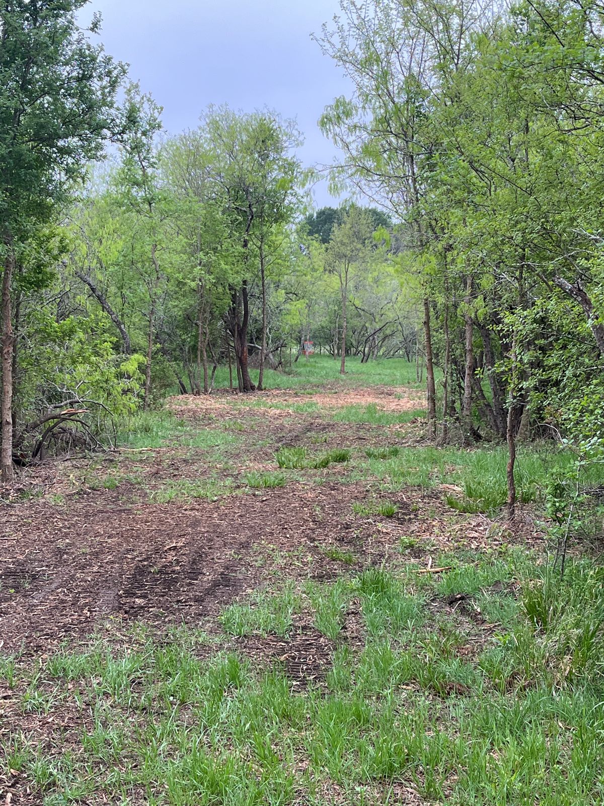 John E. Hejl Park at Davidson Creek - Caldwell, Texas | UDisc Disc Golf ...