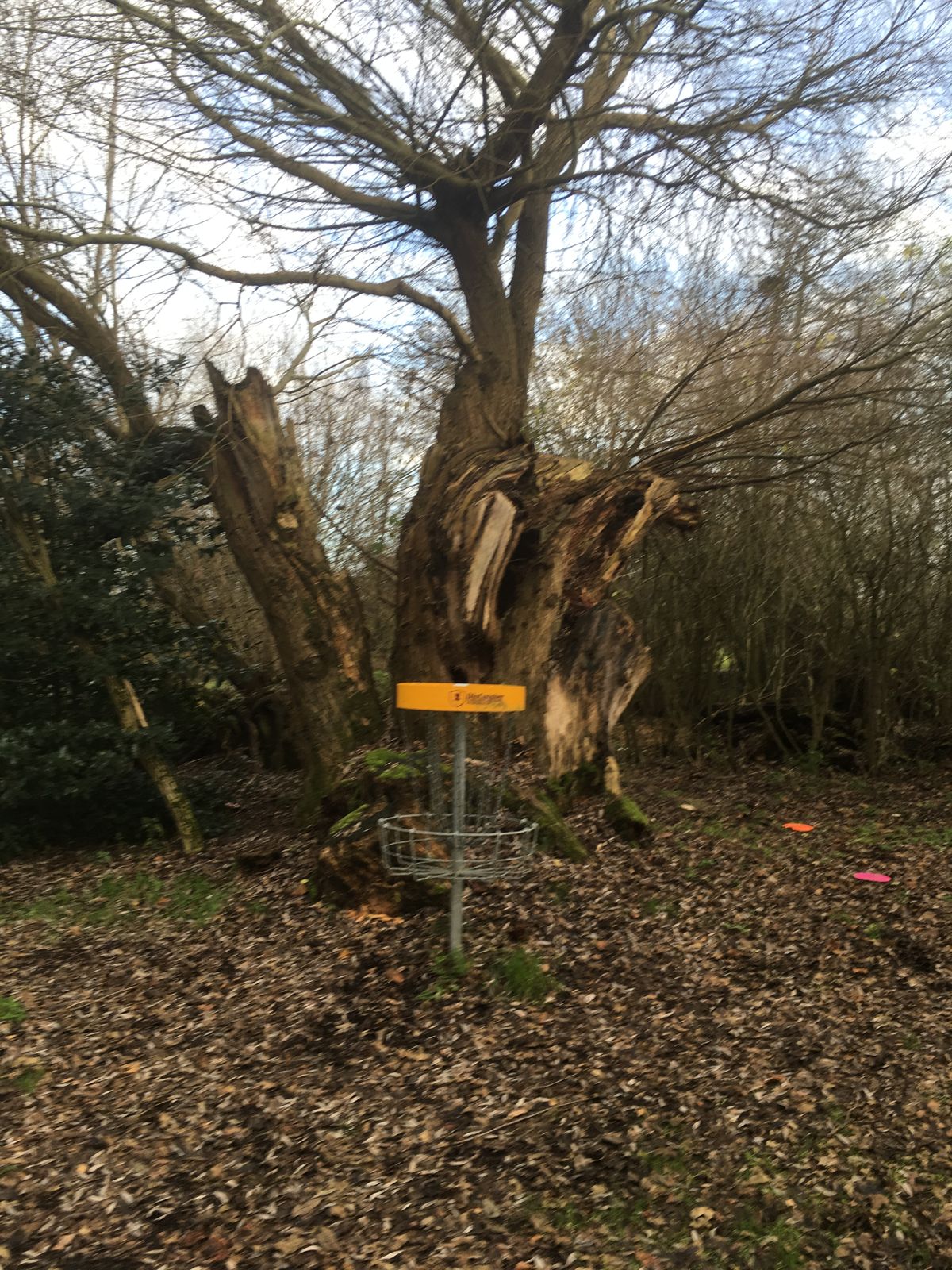 Edgware Disc Golf - Your Guide to Disc Golf in Edgware, United Kingdom ...