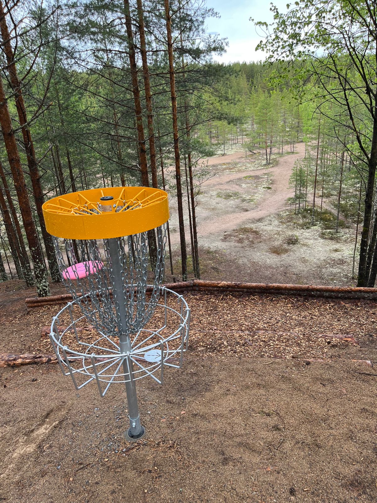 Kaupinkangas DiscGolfPark - Finland | UDisc Disc Golf Course Directory