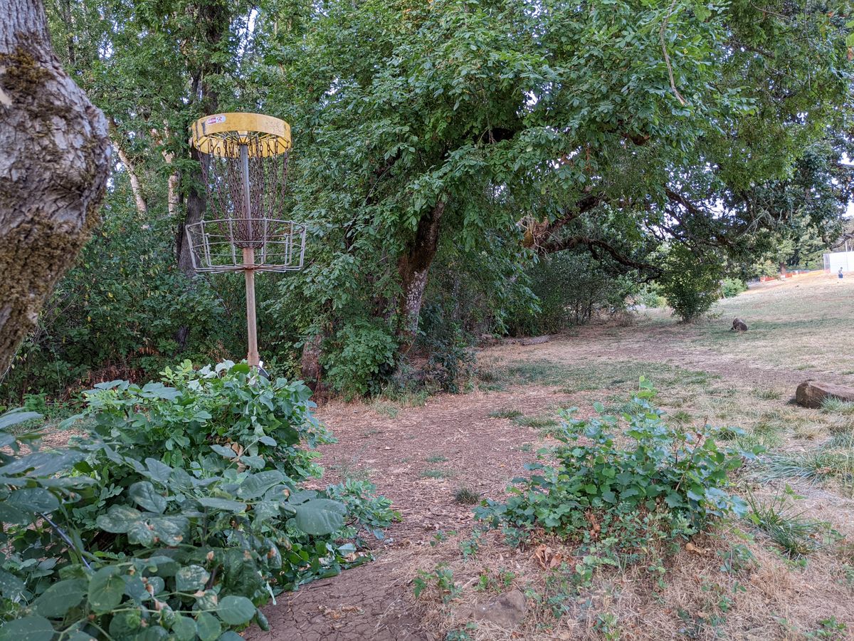 Woodmansee Park - Salem, Oregon | UDisc Disc Golf Course Directory