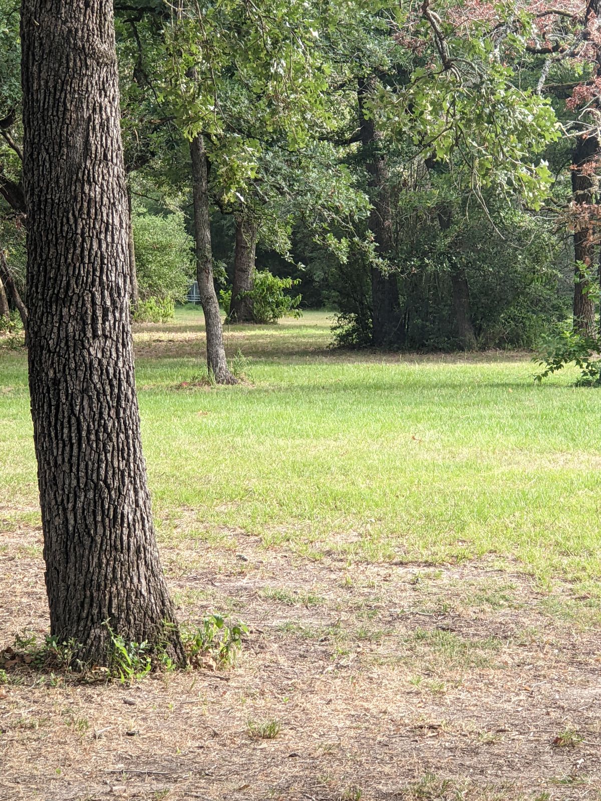 Messiah's Ranch - Bryan, Texas | UDisc Disc Golf Course Directory