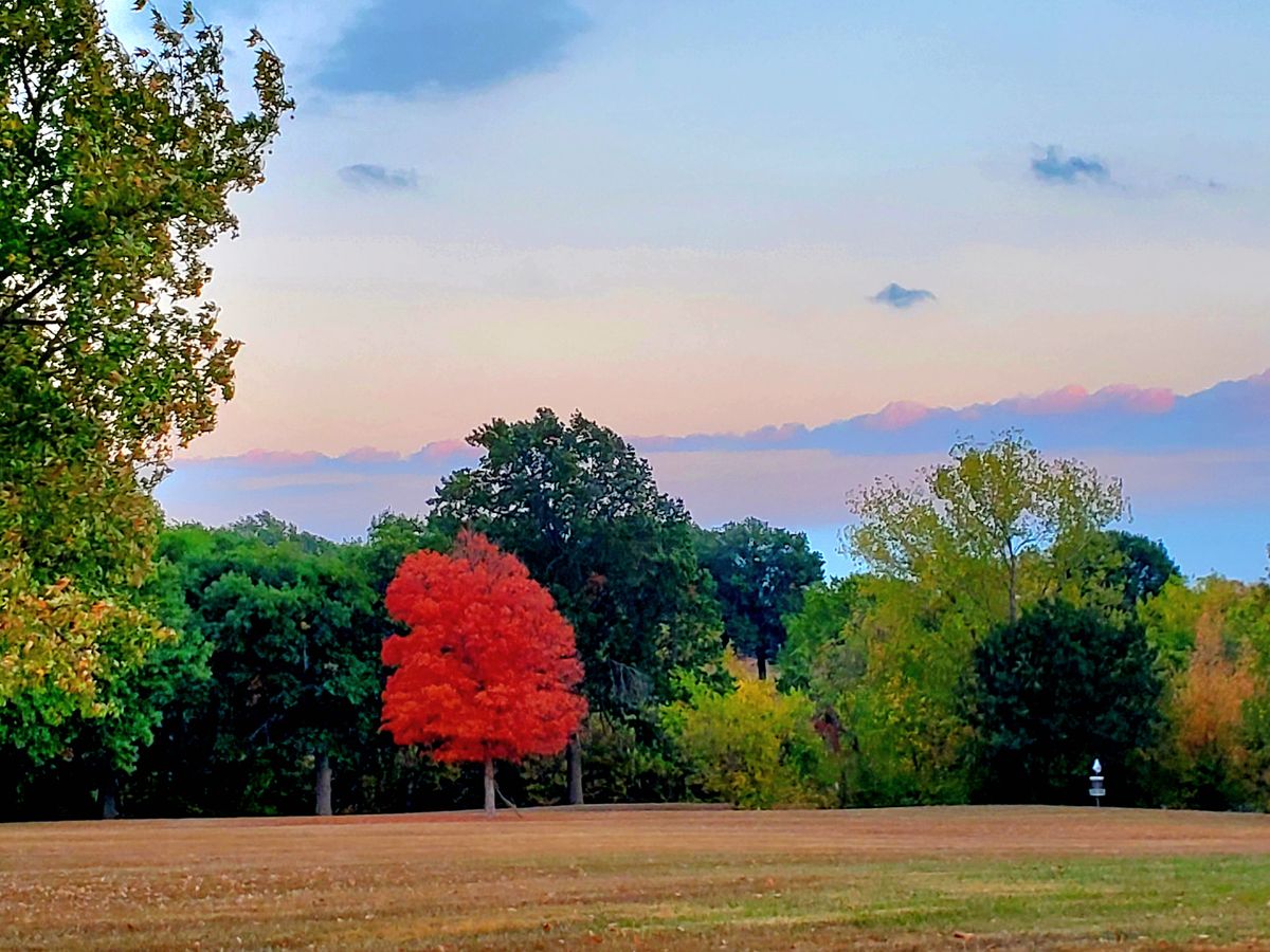 Wyandotte County Park - Bonner Springs, KS | UDisc Disc Golf Course ...