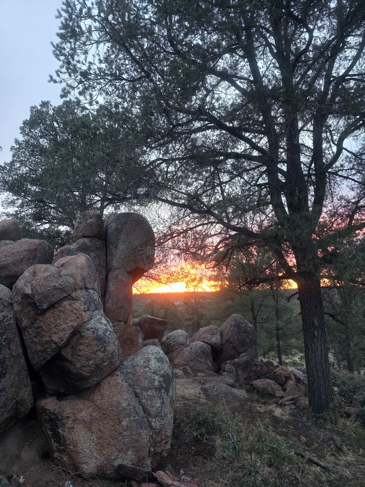 Mogollon Monster DG Course - Payson, Arizona | UDisc Disc Golf Course ...