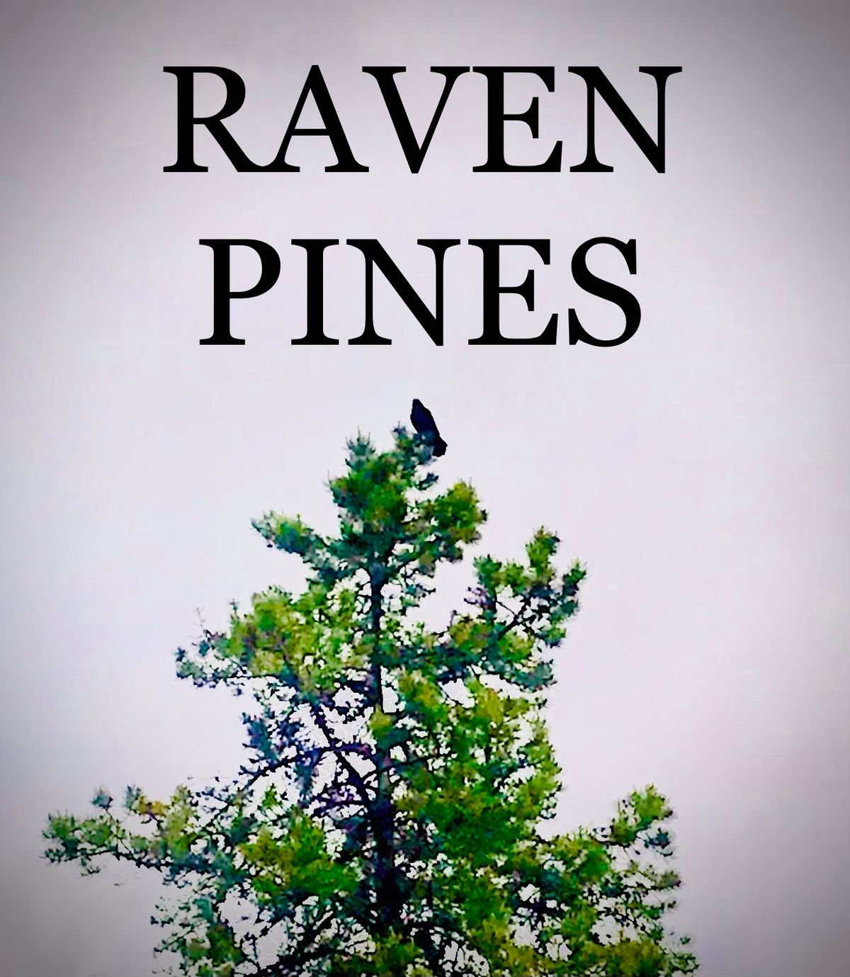 Raven Pines Disc Golf Course - Watson Lake, YT, Canada | UDisc Disc ...