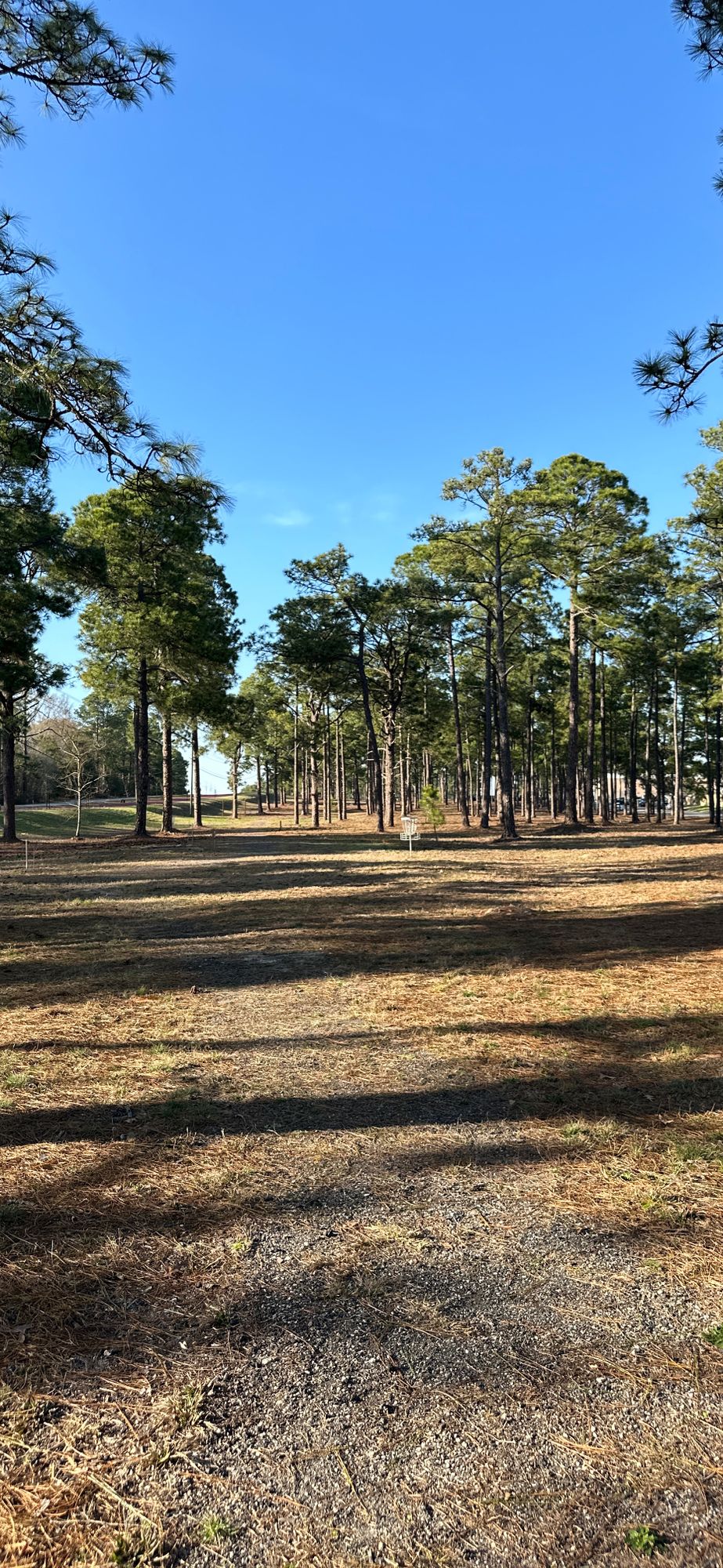 Fort Bragg - Fort Bragg, North Carolina | UDisc Disc Golf Course Directory